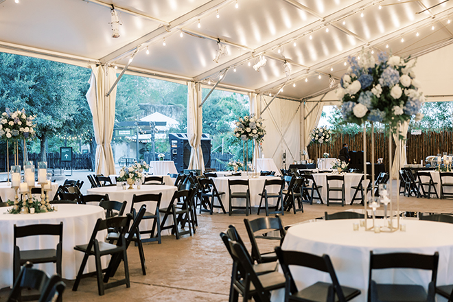 Romantic Zoo Wedding with Giraffes and Soft Blue Details | Houston ...